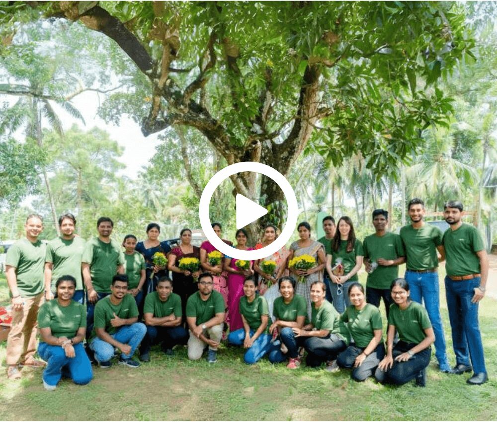 Foundation- Clone - Custom Software Development Company - Perituza